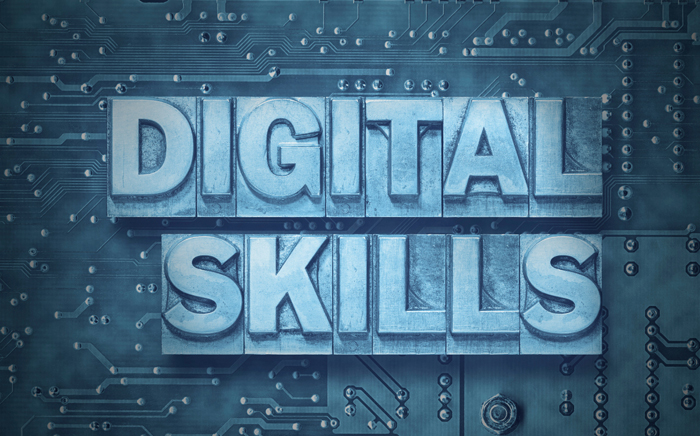 Assessment of Your Digital Skills maturity, Recognize the Skills gap and associated Risks with ...
